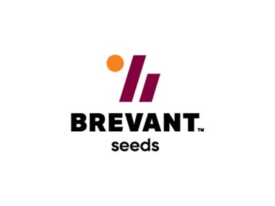 Насіння Brevant® seeds - головна сторінка