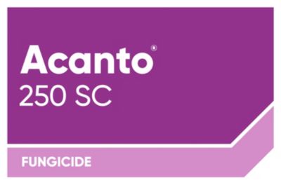 Cereals | Corteva Agriscience