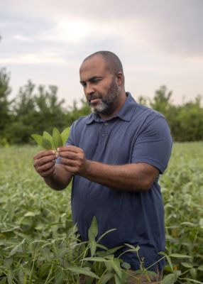 Seed Products I Corteva