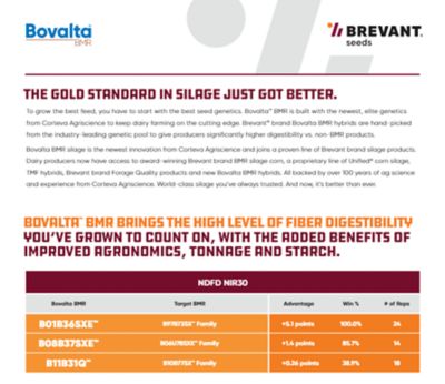 Traits | Brevant Seeds