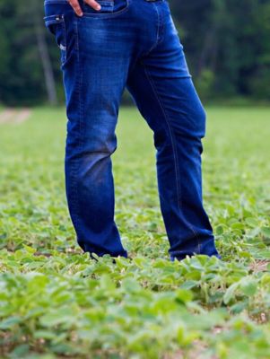 Brevant® seeds Nexera® Canola | Brevant seeds