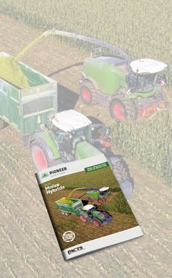 Pioneer | Corteva Agriscience