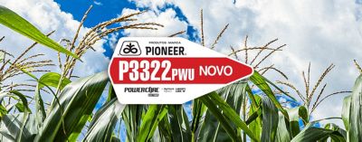 Milho Safrinha | Pioneer® Sementes