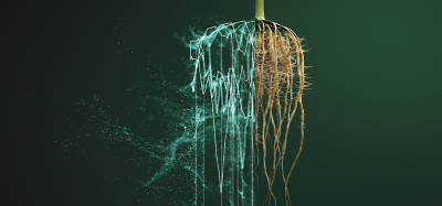 Above- and Below-Ground Insect Protection | Qrome® | Pioneer® Seeds