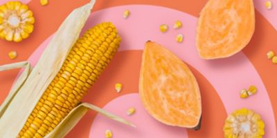 Your GMO Questions Answered | Plate-Wise
