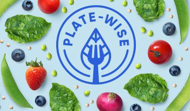 What is Plate-Wise?