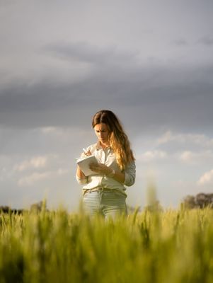 El zinc, un aliado imprescindible para recuperar tu cultivo de trigo ...