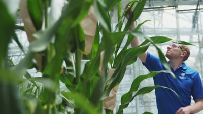 Pioneer Agronomy | Pioneer® Seeds