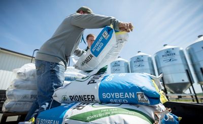 Soybean Varieties | Pioneer® Seeds