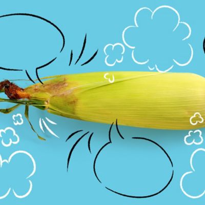 GMOs: The Biggest Mistake Scientists Made