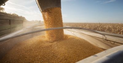 Corn Products | Pioneer India