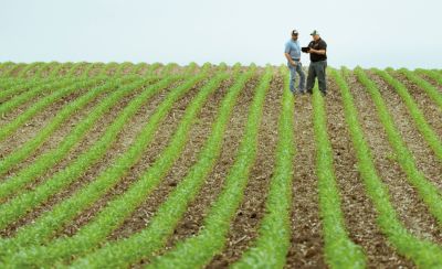 Pioneer® Seeds | United States