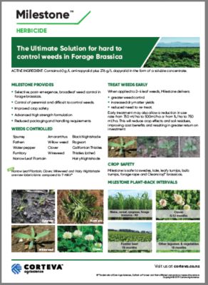 Forage Brassicas | Corteva Agriscience