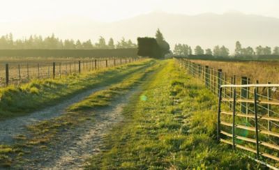 Protecting Soil and Land