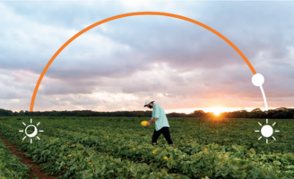 Exalt™ 6 SC | Insecticida | Protección de cultivos