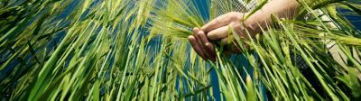 Agricultural Products | Corteva Agriscience