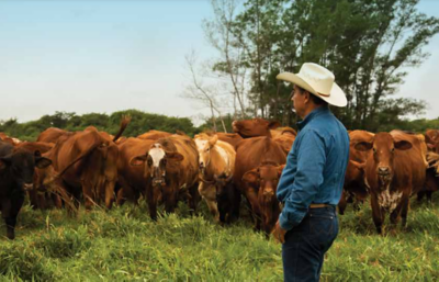 Potreros| Corteva Agriscience