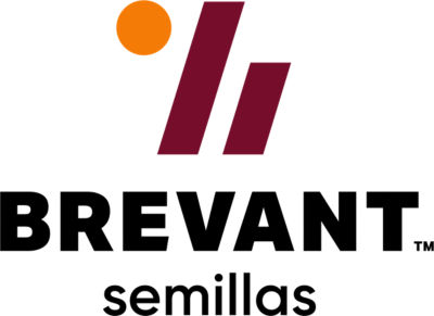 Semillas | Corteva Agriscience