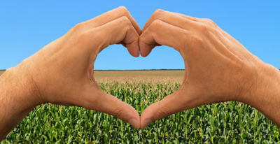 Accueil | Brevant™ Seeds