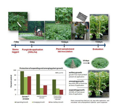 Zorvec Enicade® | Corteva Agriscience