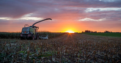 11C33 - inoculant pour ensilage de maïs | Pioneer Canada