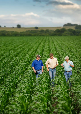 Agronomy Resources | Pioneer Canada