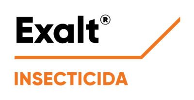 Exalt® | Insecticida | Protección de Cultivos