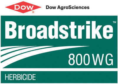 Oilseeds | Corteva Agriscience