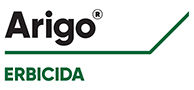 Arigo™| Corteva Agriscience
