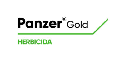 Panzer Gold | Protección de Cultivos | Corteva Agriscience