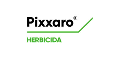 Pixxaro | Protección de Cultivos | Corteva Agriscience