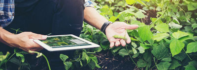 The Power of Precision Agriculture