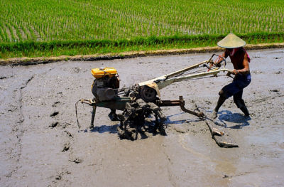 Mengenal Teknik Olah Tanah Pertanian