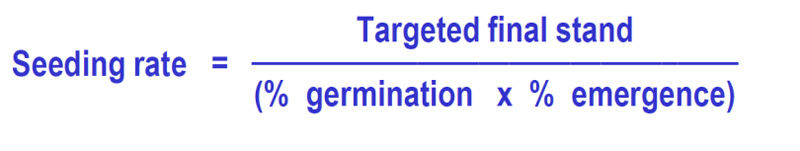 Soybean Stand Establishment & Seeding Rate (Eastern U.S.) | Pioneer Seeds