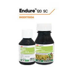 Endure™ 120 SC
