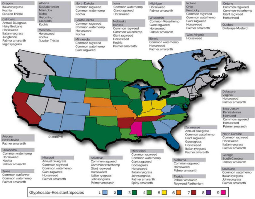 Glyphosate-Resistant Weeds in North America | Pioneer Seeds