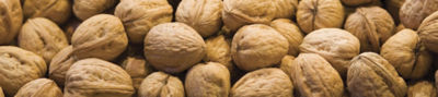 Tree Nuts | Corteva Agriscience