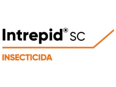 INTREPID® SC | Protección de Cultivos | Corteva Agriscience