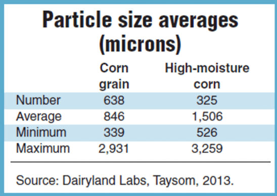 Starch Digestibility Analyses on the Rise | Pioneer Seeds